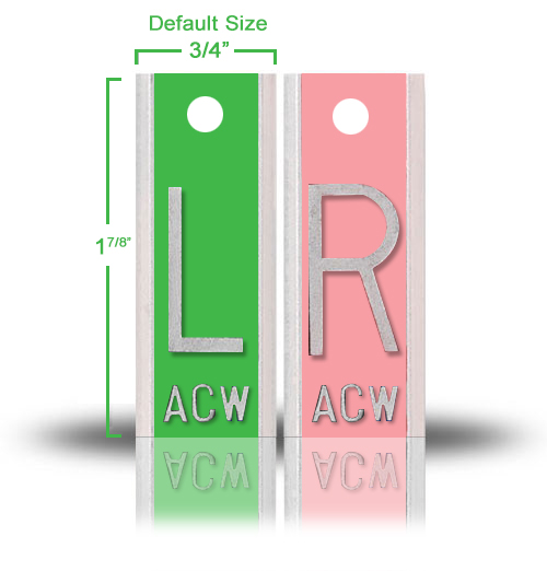 Xray Lead Markers For Radiography Techs and Students- Magic X-ray Markers